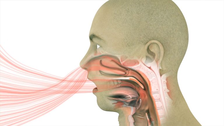 Unmasking the Mystery: Why Does My Burp Taste Like Blood? - Senior Fitness