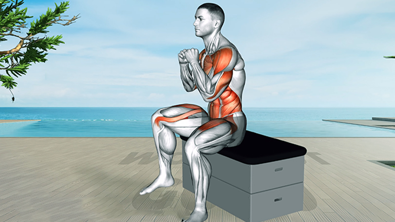 The 10 Best Chair Exercises for Seniors: Stay Active and Healthy with ...