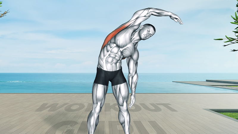 10 Warm-Up Exercises for Seniors [Prep, Protect, Perform] - Senior Fitness