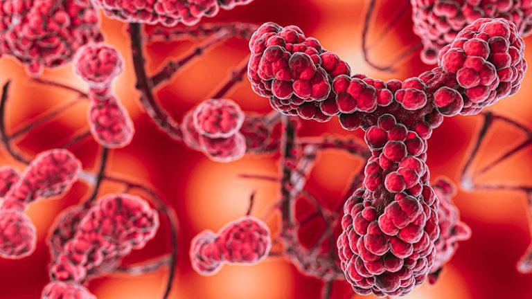 12 Health Benefits of Kava: Learn Before You Avoid This Food - Senior ...