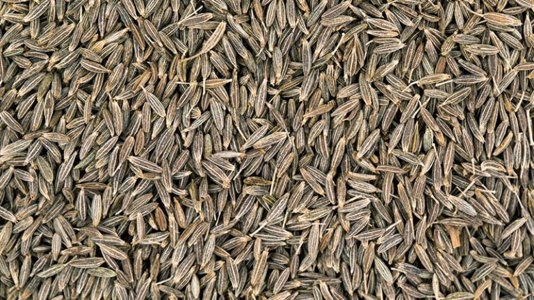 12 Health Benefits of Cumin: The Secret of Cumin Revealed - Senior Fitness