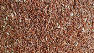 10 Best Types of Rice for Your Health: Add to your Diet - Senior Fitness