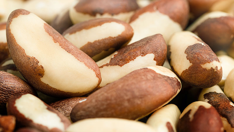 12 Health Benefits of Brazil Nuts: Learn How Many to Consume Daily ...