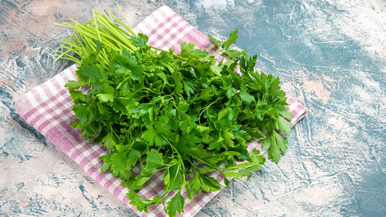 From Herbaceous to Soapy: Why Does Cilantro Sometimes Taste Like Soap ...