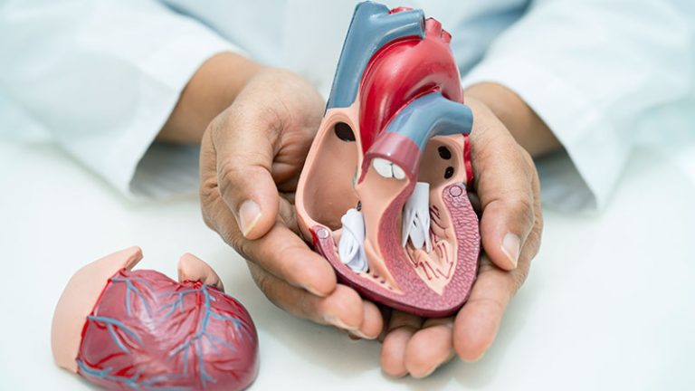 Reach for Wellness: 12 Health Benefits of Rock Climbing - Senior Fitness