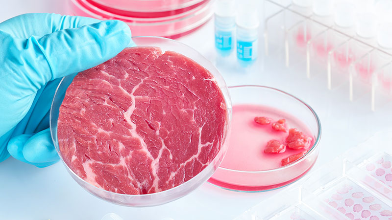 What Is Lab Grown Meat? A Sustainable Future for Meat Production ...