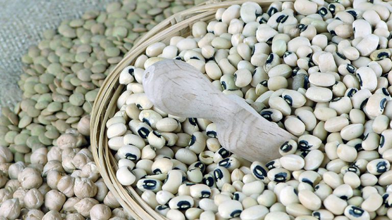 Top 12 Health Benefits of Legumes: Why You Should Include Them in Your ...