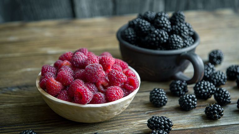 Top 15 High Fiber Low Carb Foods for Better Health and Weight ...