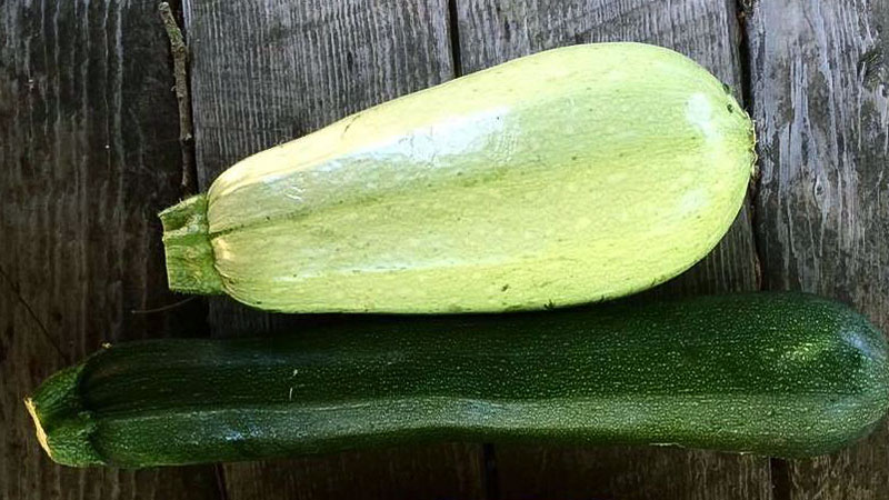 10 Types of Summer Squash: A Guide to Varieties and Cooking Tips ...