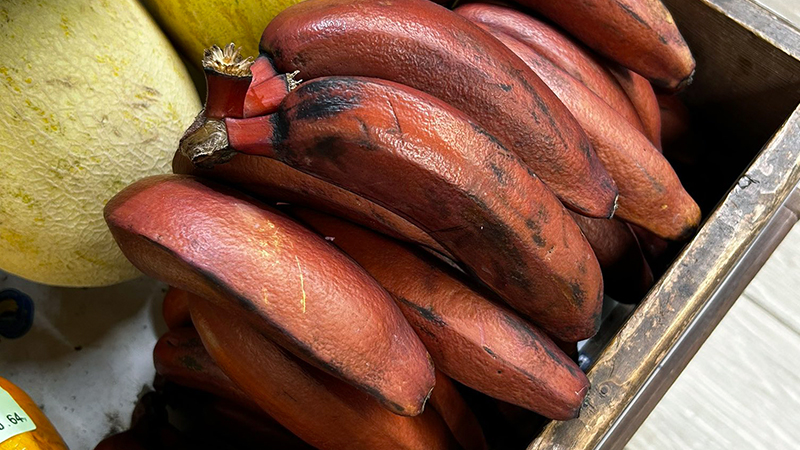 10 Health Benefits of Red Bananas: Boost Immunity, Heart Health & More ...