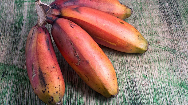 10 Health Benefits of Red Bananas: Boost Immunity, Heart Health & More ...