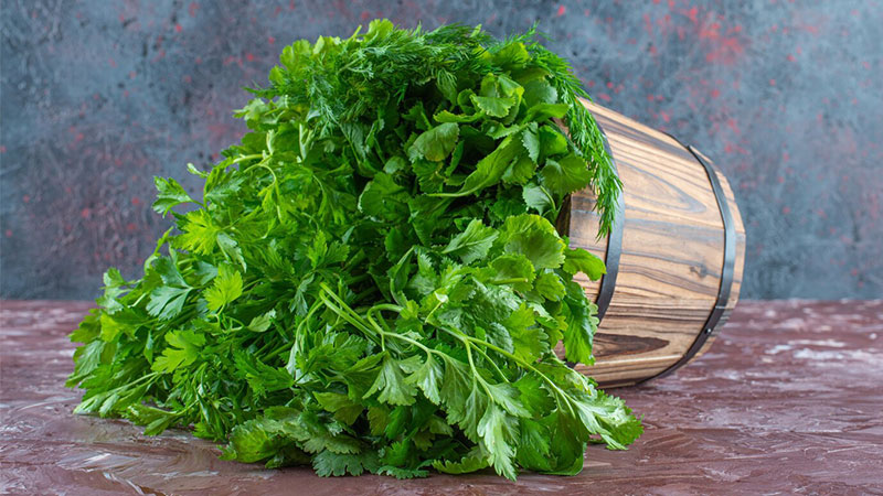 12 Health Benefits of Cilantro: Nutrition, Detox, Heart Health & More ...