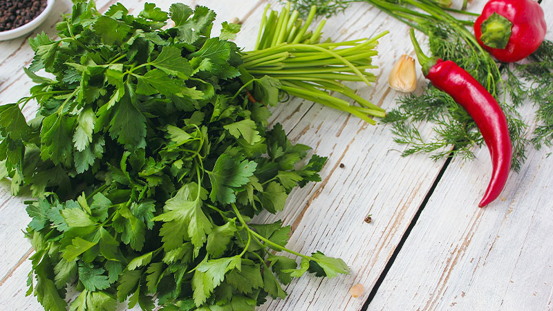 12 Health Benefits of Cilantro: Nutrition, Detox, Heart Health & More ...