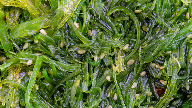 7 Health Benefits of Seaweed for Nutrition and Wellness