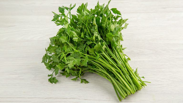12 Health Benefits of Cilantro: Nutrition, Detox, Heart Health & More ...