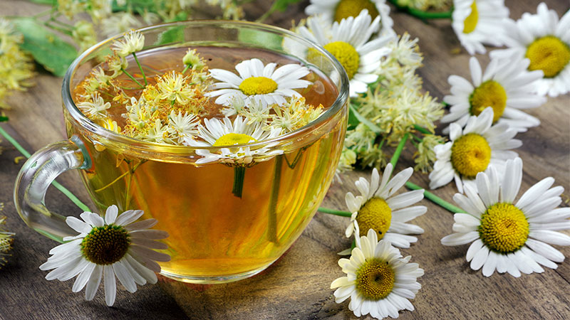 7 Health Benefits of Chamomile Tea: Sleep Aid, Stress Relief, and More ...