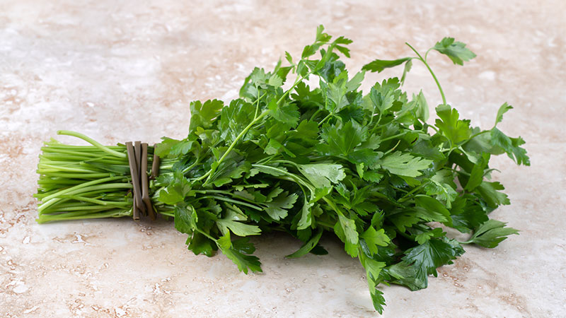 10 Amazing Health Benefits of Cilantro Herb (+ Nutrition & Uses ...