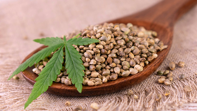 Top 6 Benefits of Hemp Seeds for Health, Digestion, Skin, and Heart ...