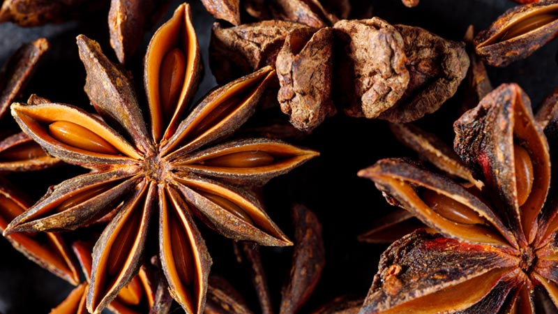 11 Health Benefits of Anise Star for Wellness and Flavor