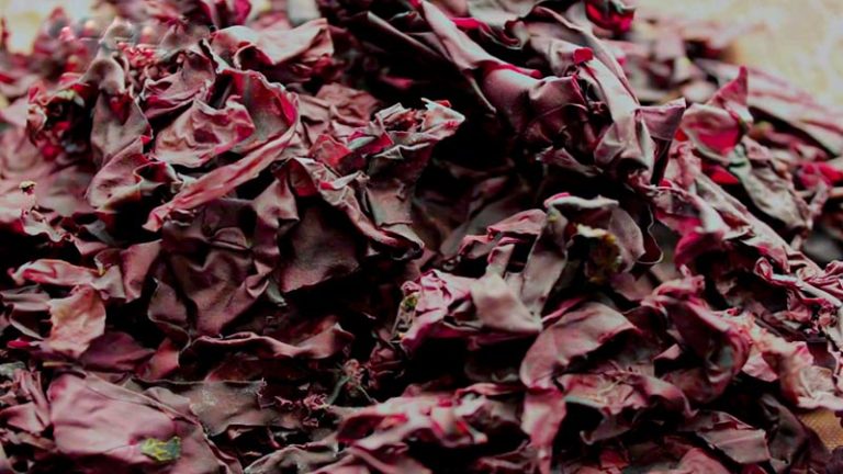 7 Health Benefits of Atlantic Dulse: Nutrient-Rich Superfood - Senior ...