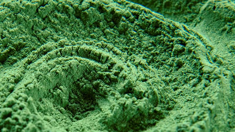 Top 10 Health Benefits of Chlorella for Optimal Wellness