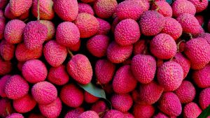 12 Health Benefits of Litchi: A Sweet Boost for Your Wellness - Senior ...