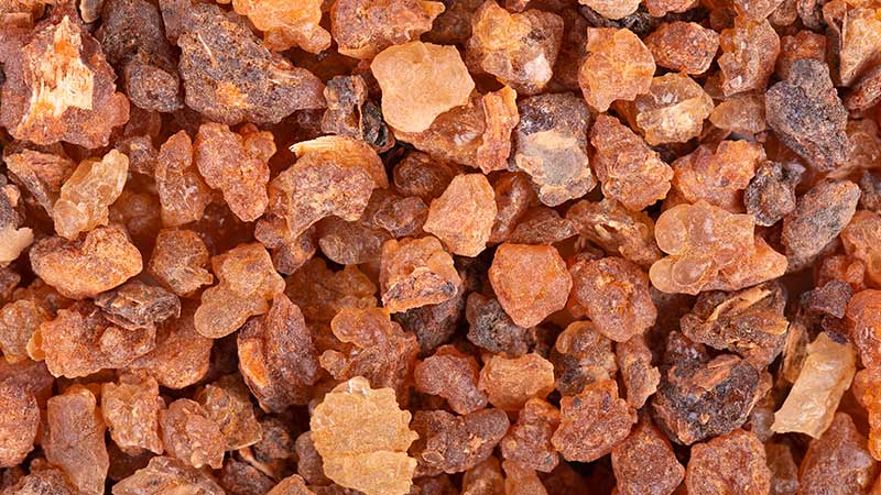10 Health Benefits of Myrrh: Nature's Powerful Remedy