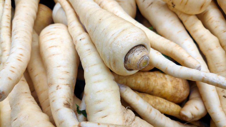 10 Health Benefits of Parsnips: A Nutrient-Packed Superfood for Your Diet
