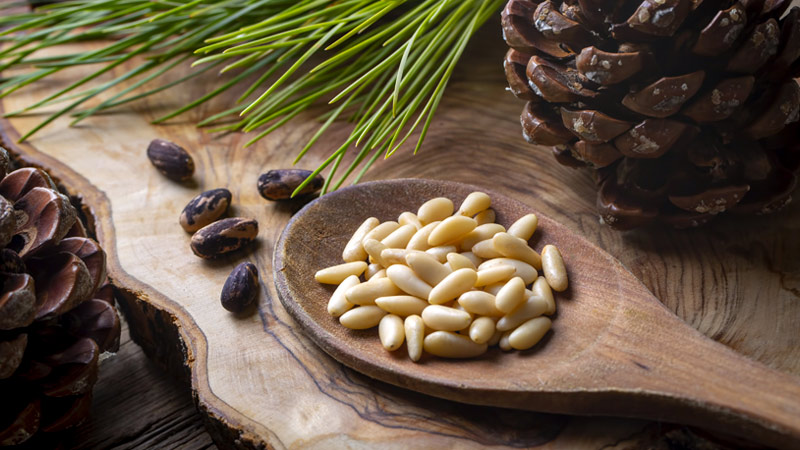 11 Health Benefits of Pine Nuts: A Nutritional Powerhouse for Your Well ...