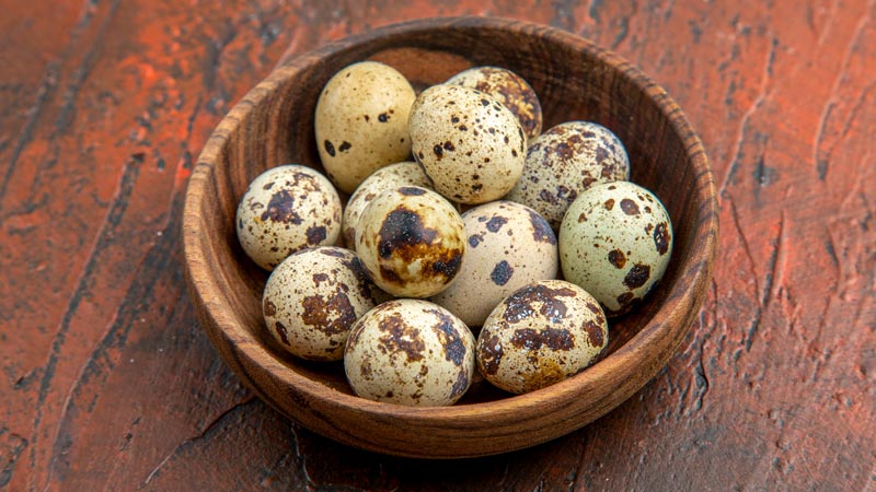 16 Health Benefits of Quail Eggs: Boost Nutrition, Immunity & Overall ...