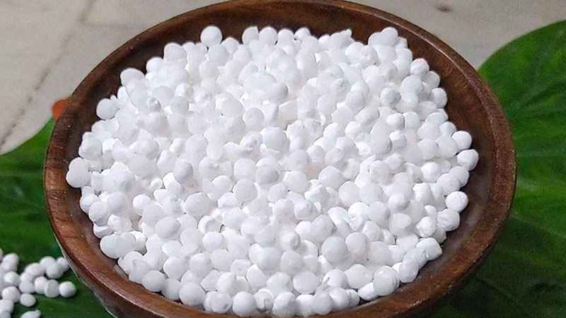 8 Health Benefits of Sabudana: Boost Energy & Improve Digestion ...