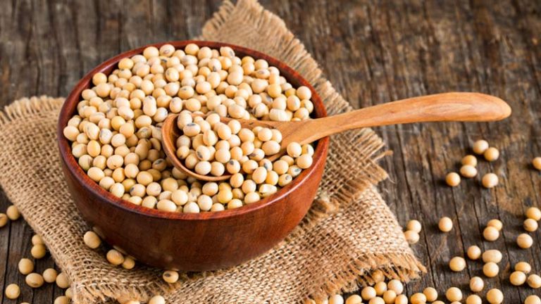 10 Health Benefits of Soybeans: Boost Your Wellness with These Powerful ...