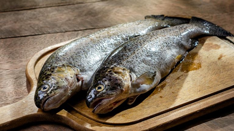 9 Health Benefits of Trout for a Heart-Healthy Diet and Optimal ...