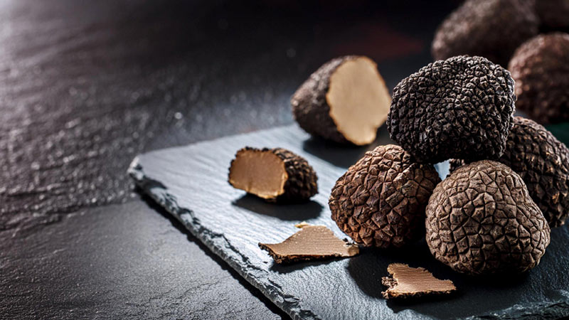 9 Health Benefits of Truffles: A Nutrient-Packed Superfood for Well-Being