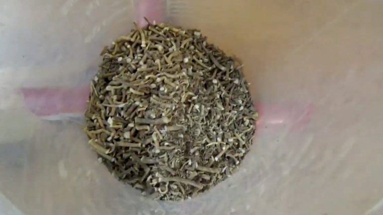 6 Health Benefits of Valerian Root for Better Sleep and Reduced Anxiety