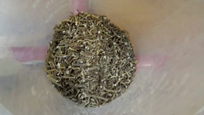 6 Health Benefits of Valerian Root for Better Sleep and Reduced Anxiety ...
