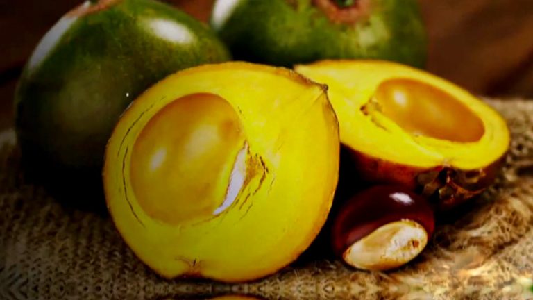 10 Health Benefits of Lucuma: A Nutrient-Dense Superfruit for Your ...